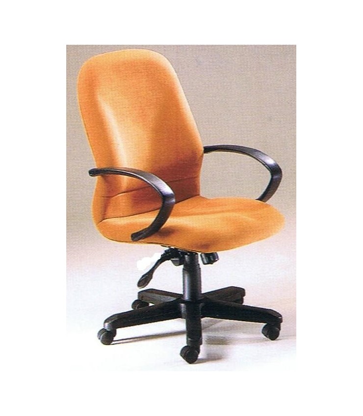 Mid Back Chair with Armrest
